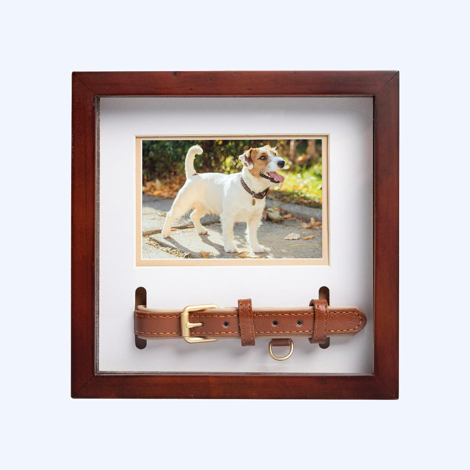 Pet Memorial Photo Frames | Cherish Lasting Memories - Pet Memory Shop