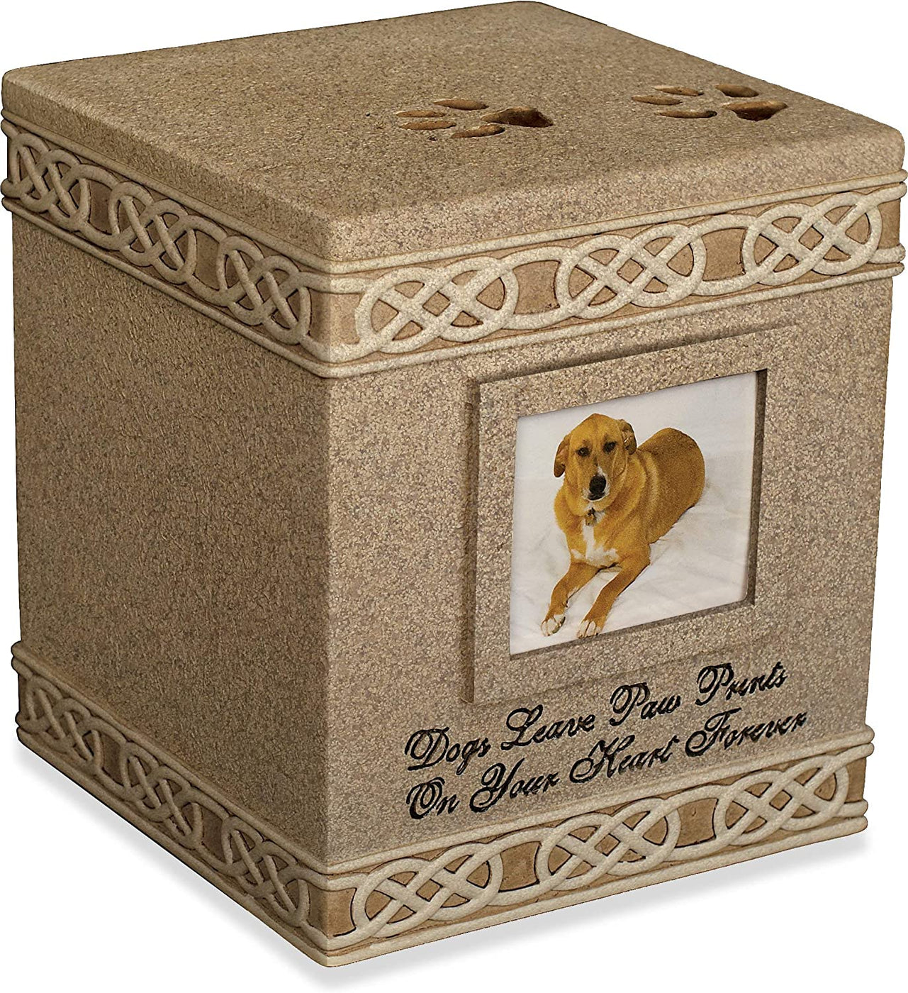 Dog Paw Prints Memory Box, Pet Urn Memorial Made of high-quality resin ...